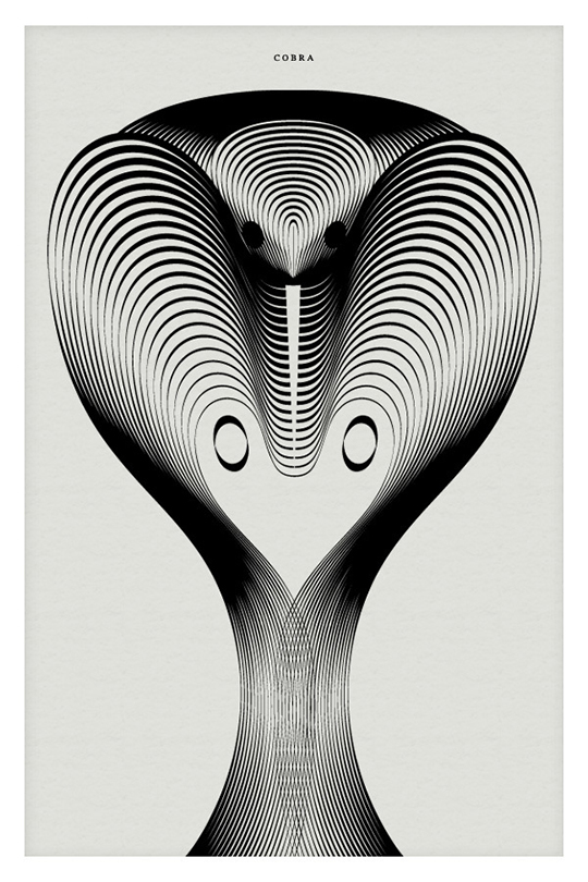 ¿Qué sabes del efecto Moirè? | LeBranders - Global Design Solutions